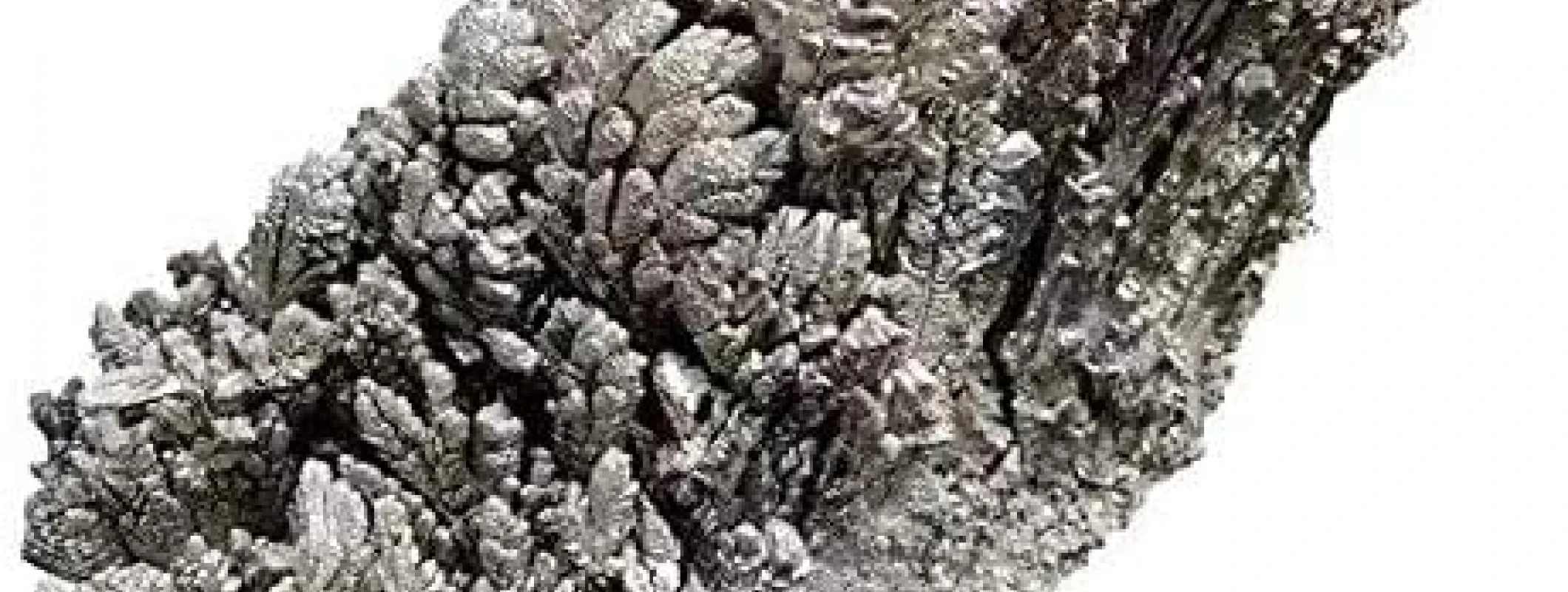 Krepitev zdravja z magnezijem – ključni mineral za mišice, živčni ...